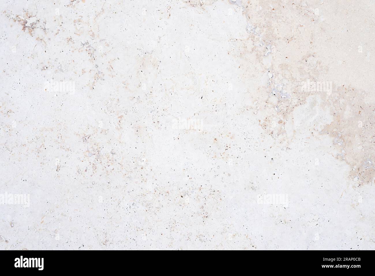 White stone table organic texture background, white concret cement ...