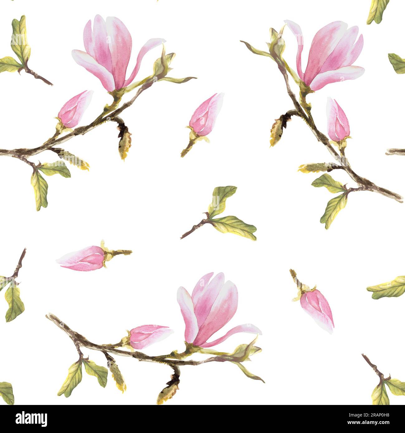 Watercolor pink Magnolia Seamless Pattern White background Hand painted ...