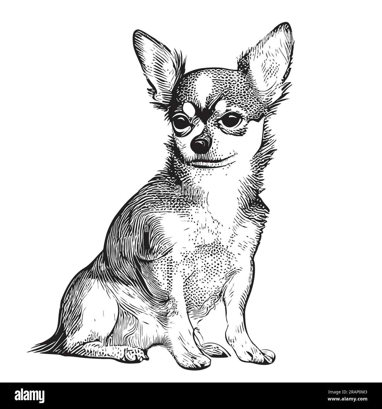 Chihuahua dog sketch ,drawn in doodle style illustration Stock Vector ...