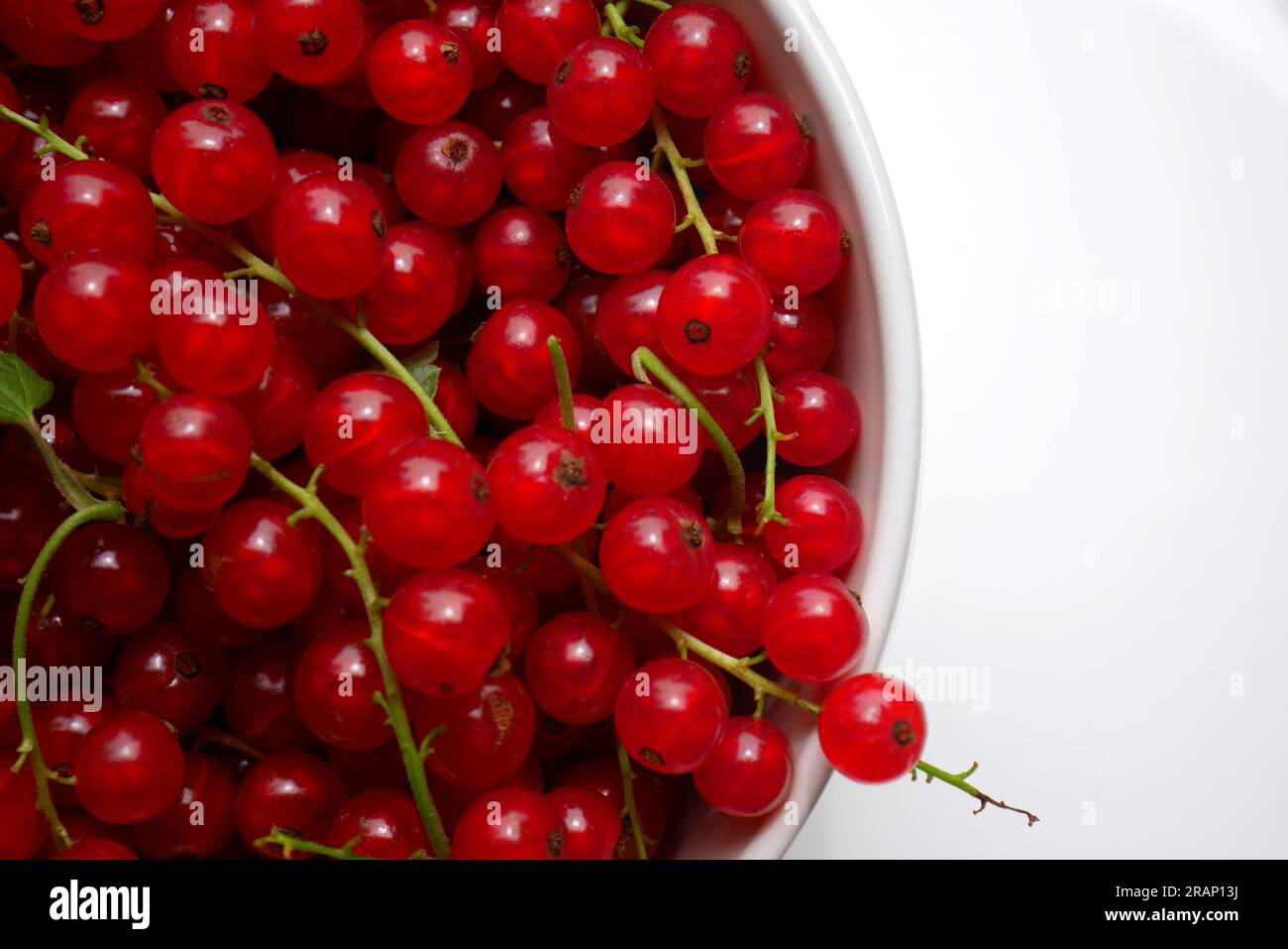 Ribes rubrum fresh fruit hi-res stock photography and images - Alamy