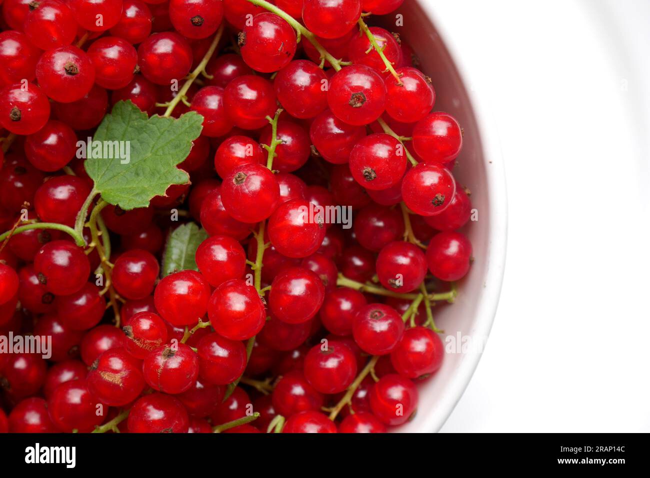Ribes rubrum fruit hi-res stock photography and images - Alamy