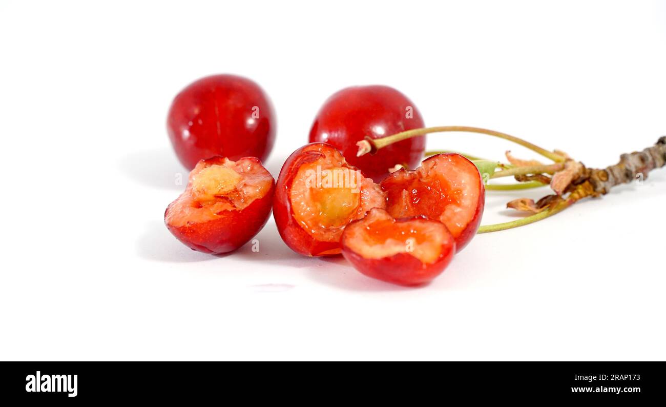 chopped Cherries isolated on white background Stock Photo - Alamy