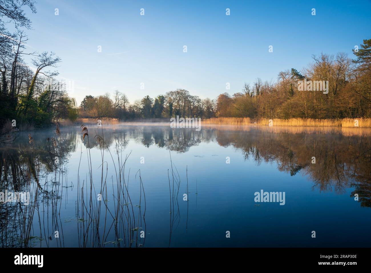 Meditation environment hi-res stock photography and images - Alamy