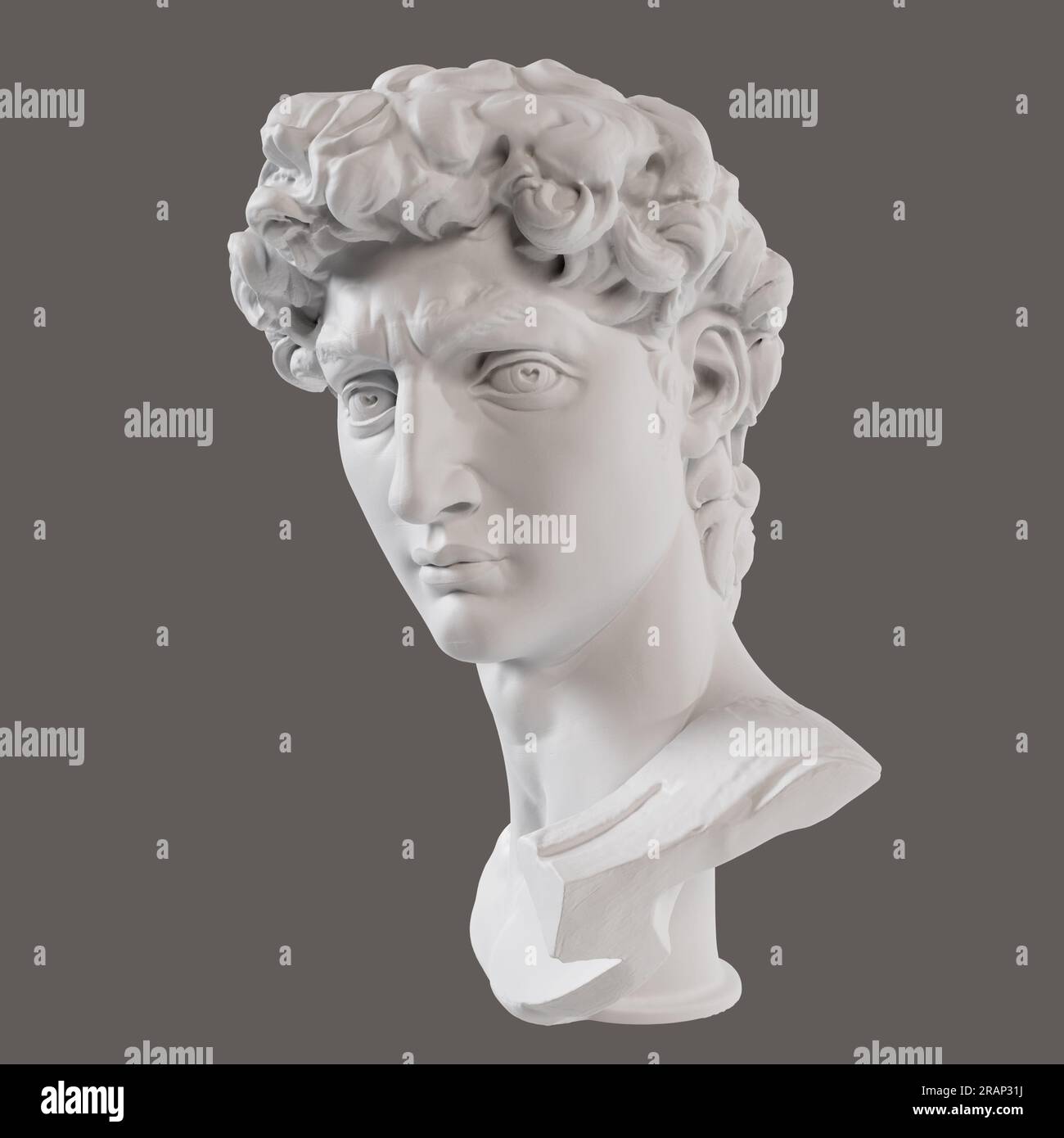 David Head by Michelangelo, Florence, Italy Stock Photo - Alamy