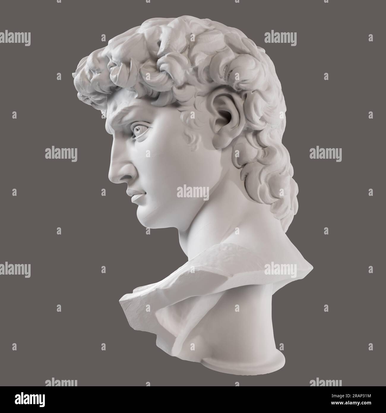 David Head by Michelangelo, Florence, Italy Stock Photo - Alamy