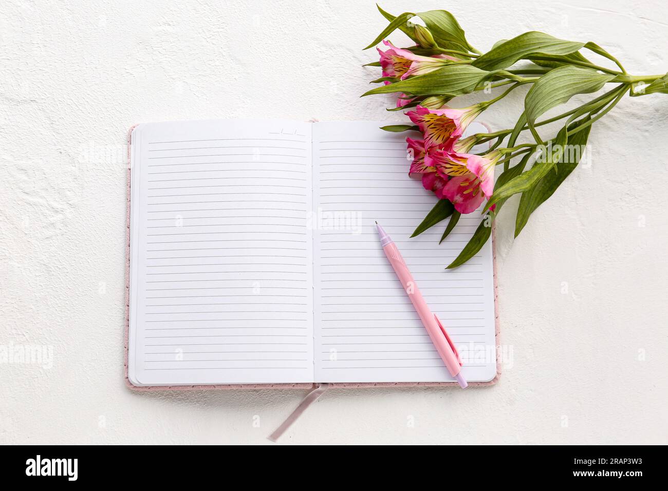 Blank open notebook with pen and alstroemeria flowers on light ...