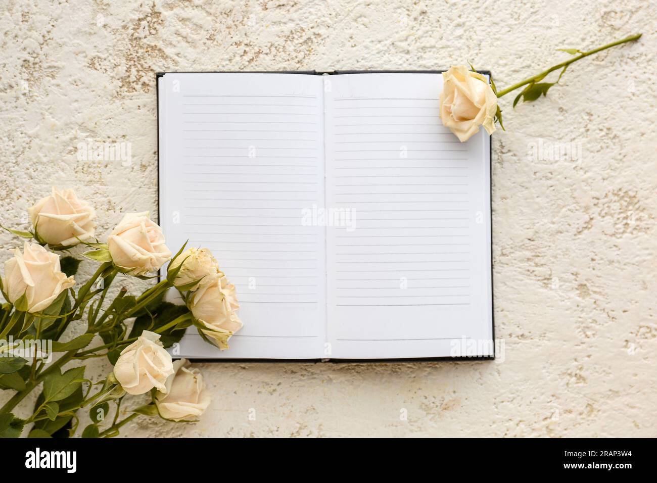 Blank open notebook and beautiful rose flowers on light background ...