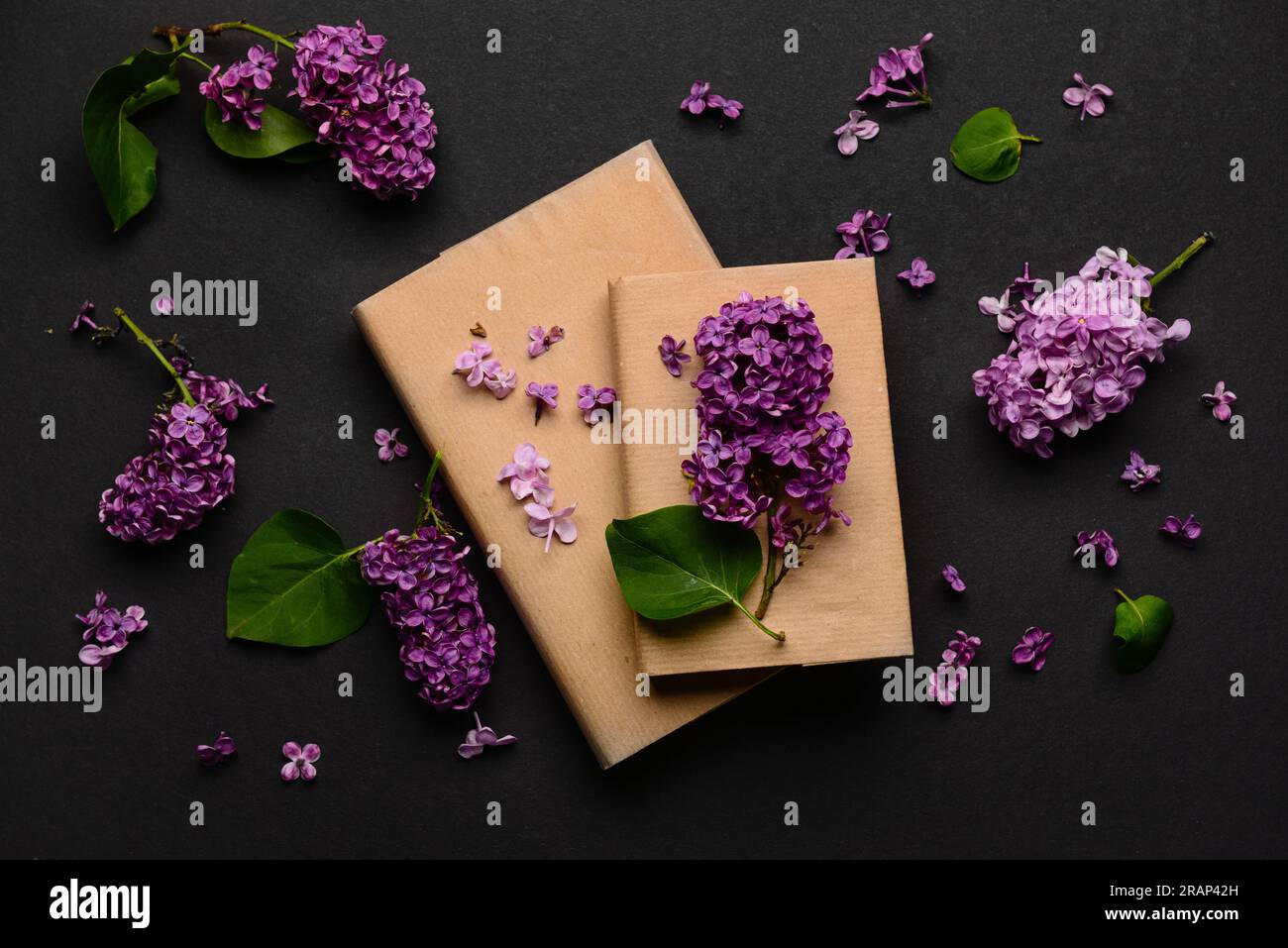 Beautiful lilac flowers and books on dark background Stock Photo - Alamy