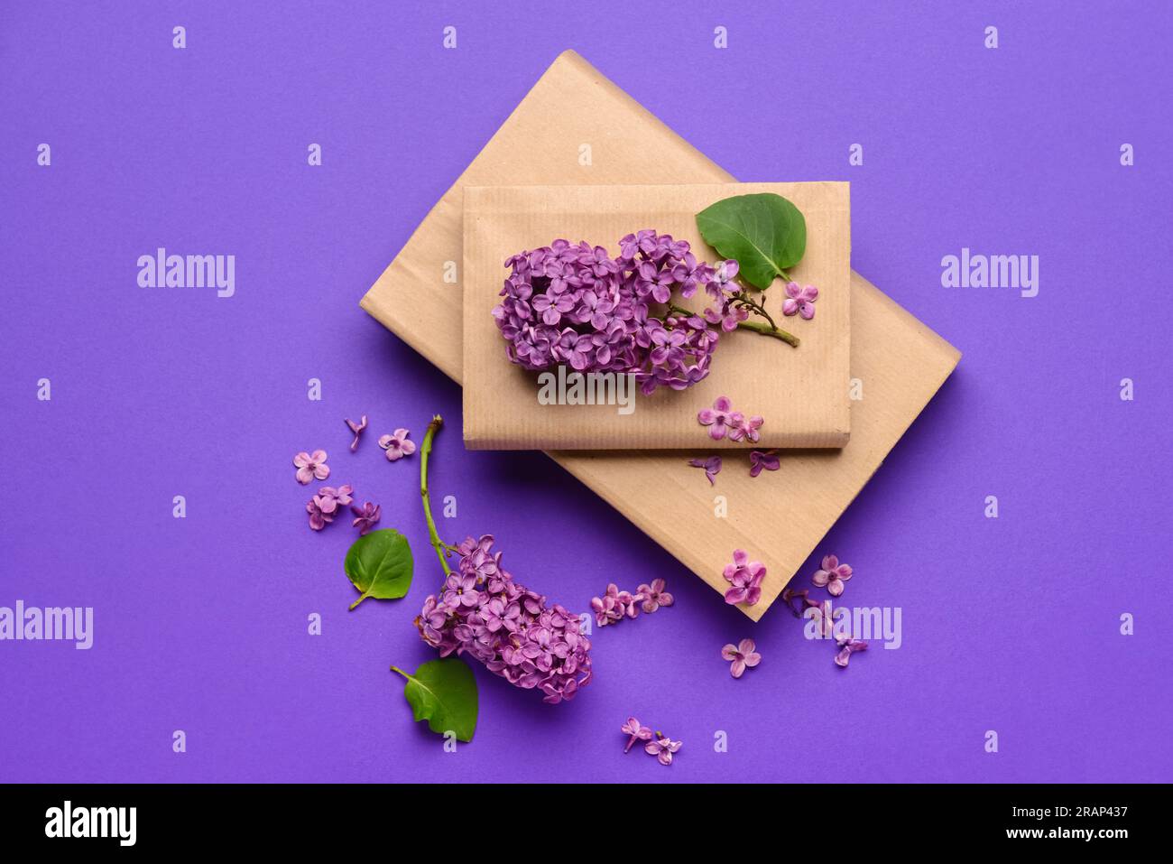 Beautiful lilac flowers and books on purple background Stock Photo - Alamy