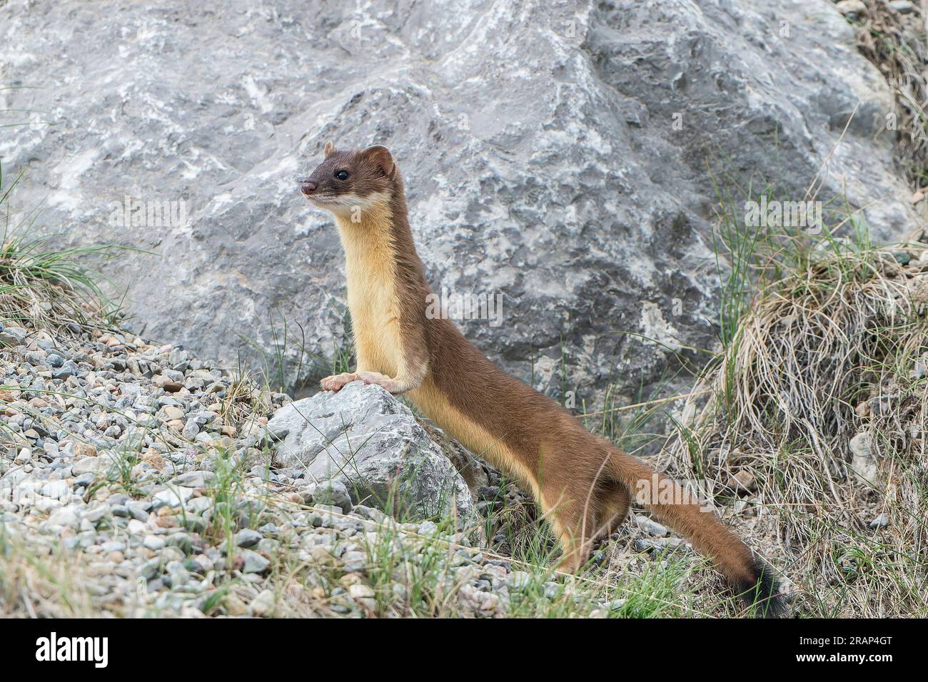 Medicine lake highlands hi-res stock photography and images - Alamy