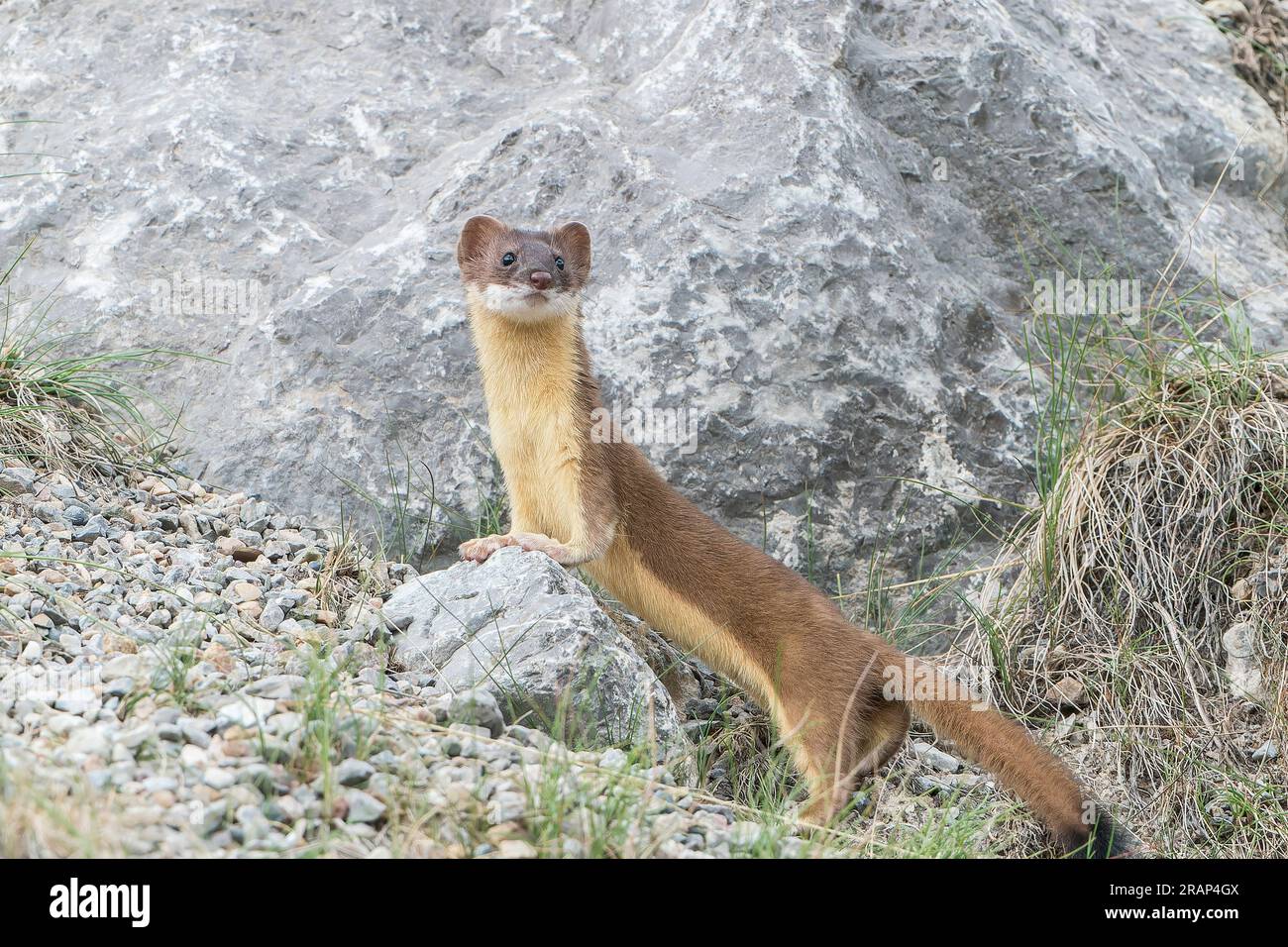 Medicine lake highlands hi-res stock photography and images - Alamy
