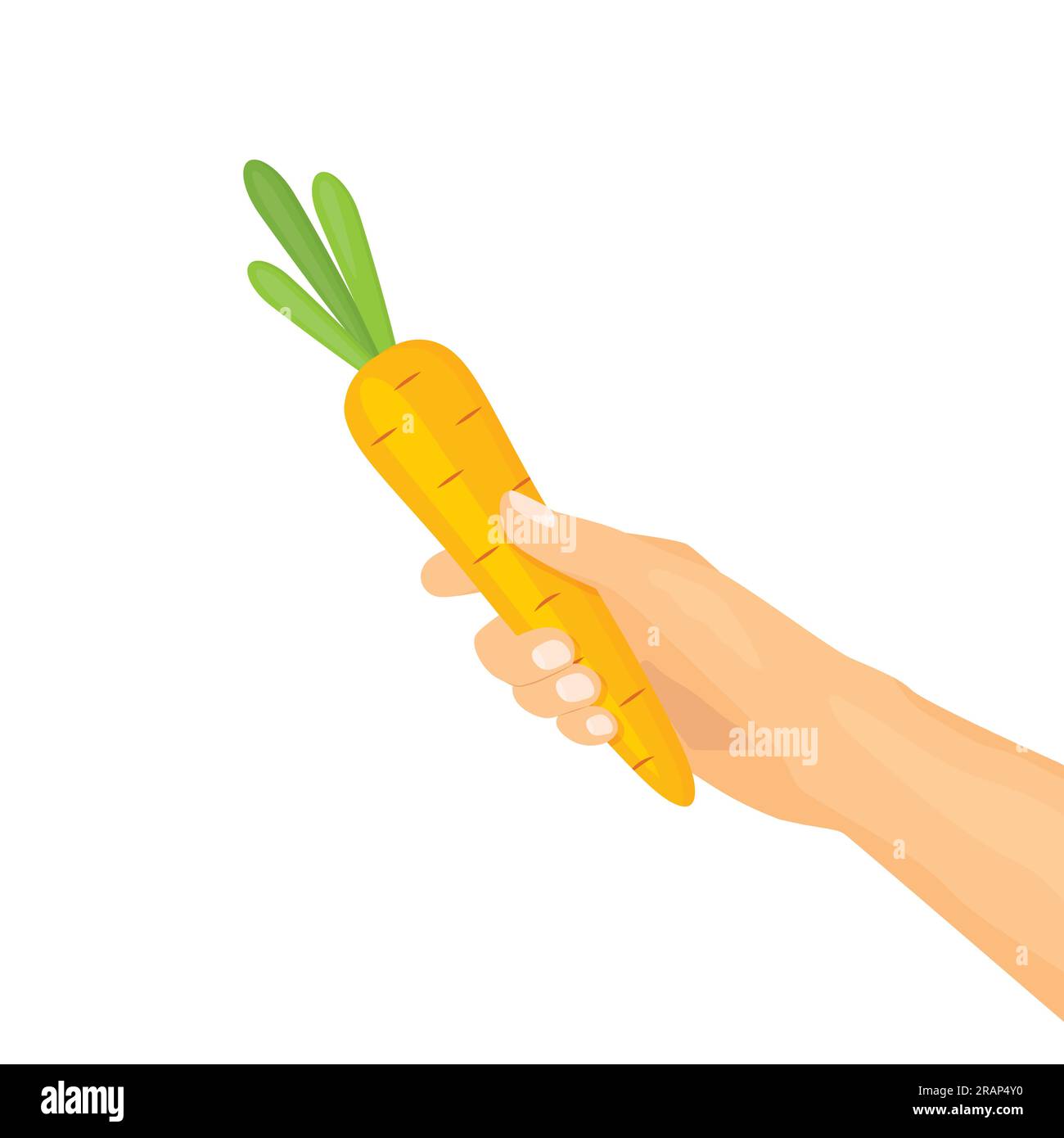 hand giving fresh carrot, encouragement, reward concept -vector ...