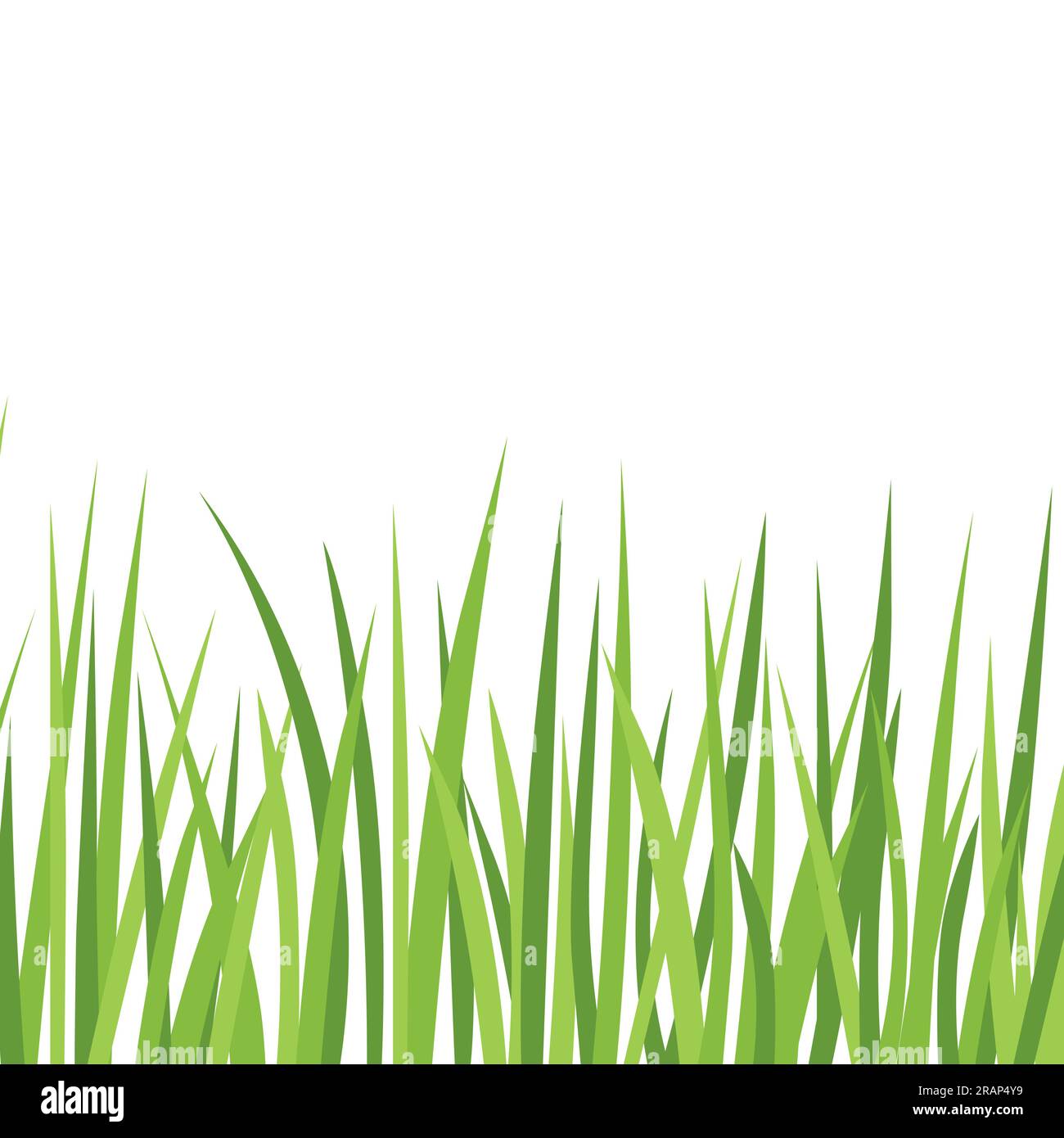 blades of green grass with copy space - vector illustration Stock ...
