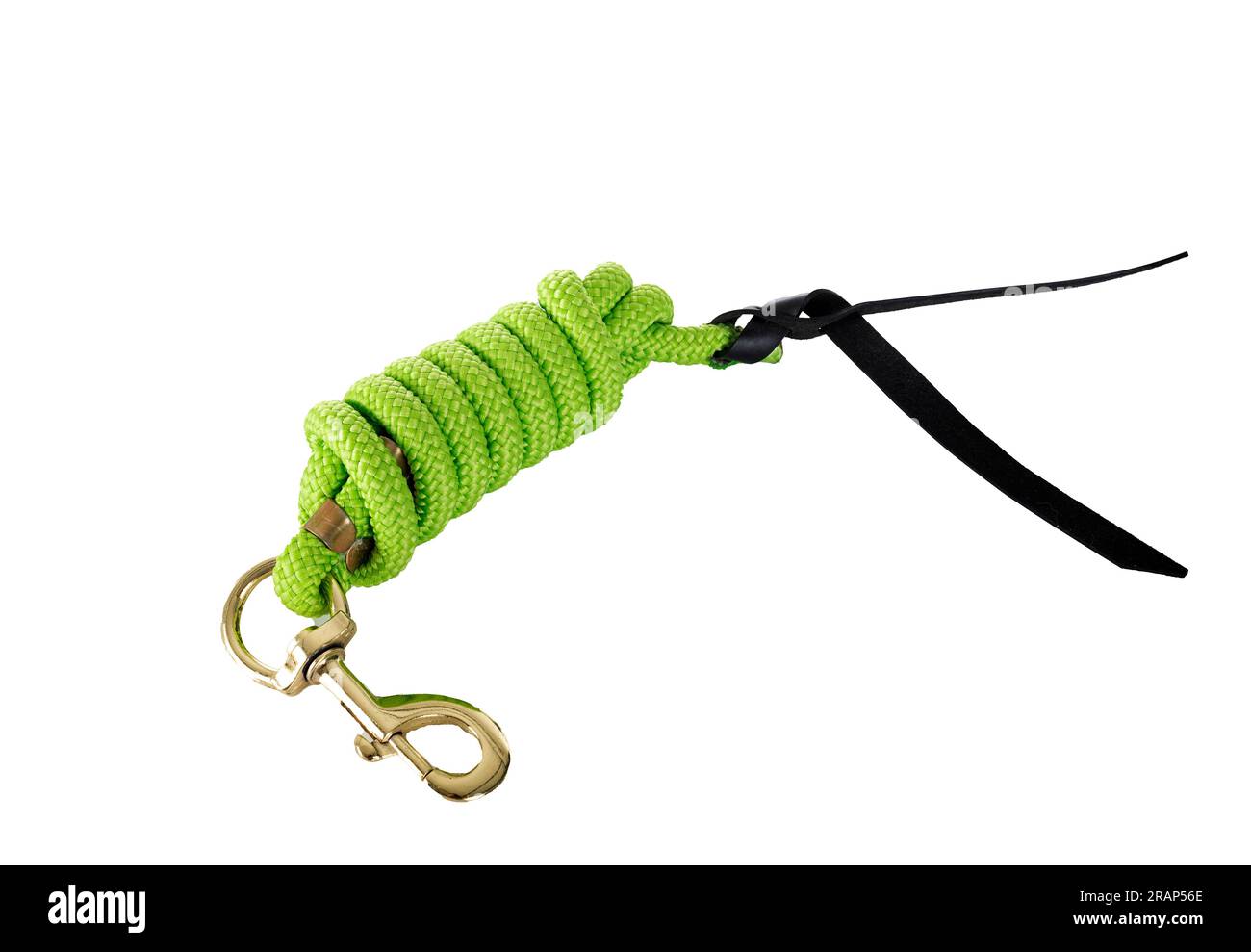 Lead rein pony Cut Out Stock Images & Pictures - Alamy