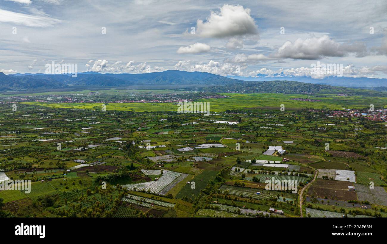 Farm and agricultural land with crops in the mountainous area. Kayu Aro ...