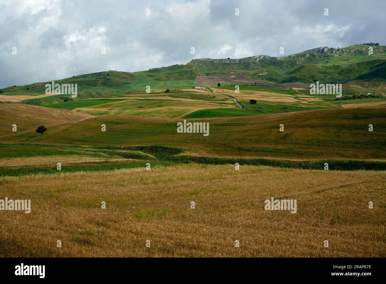 Montedoro hi-res stock photography and images - Alamy