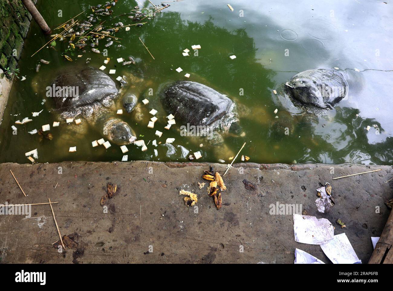 Chittagong, Bayazid, Bangladesh. 5th July, 2023. July 05, 2023 ...