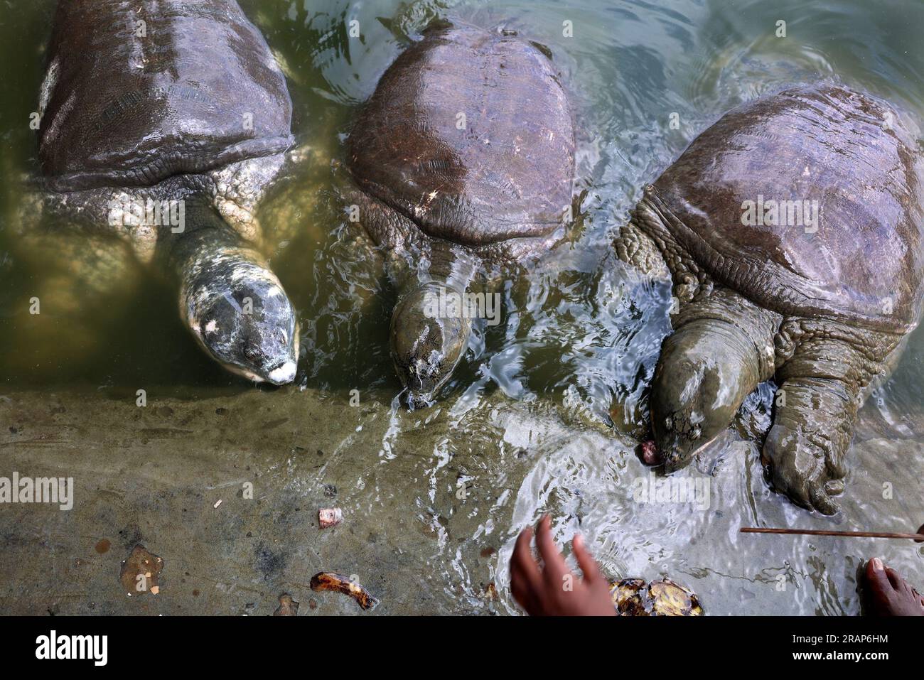 Chittagong, Bayazid, Bangladesh. 5th July, 2023. July 05, 2023 ...