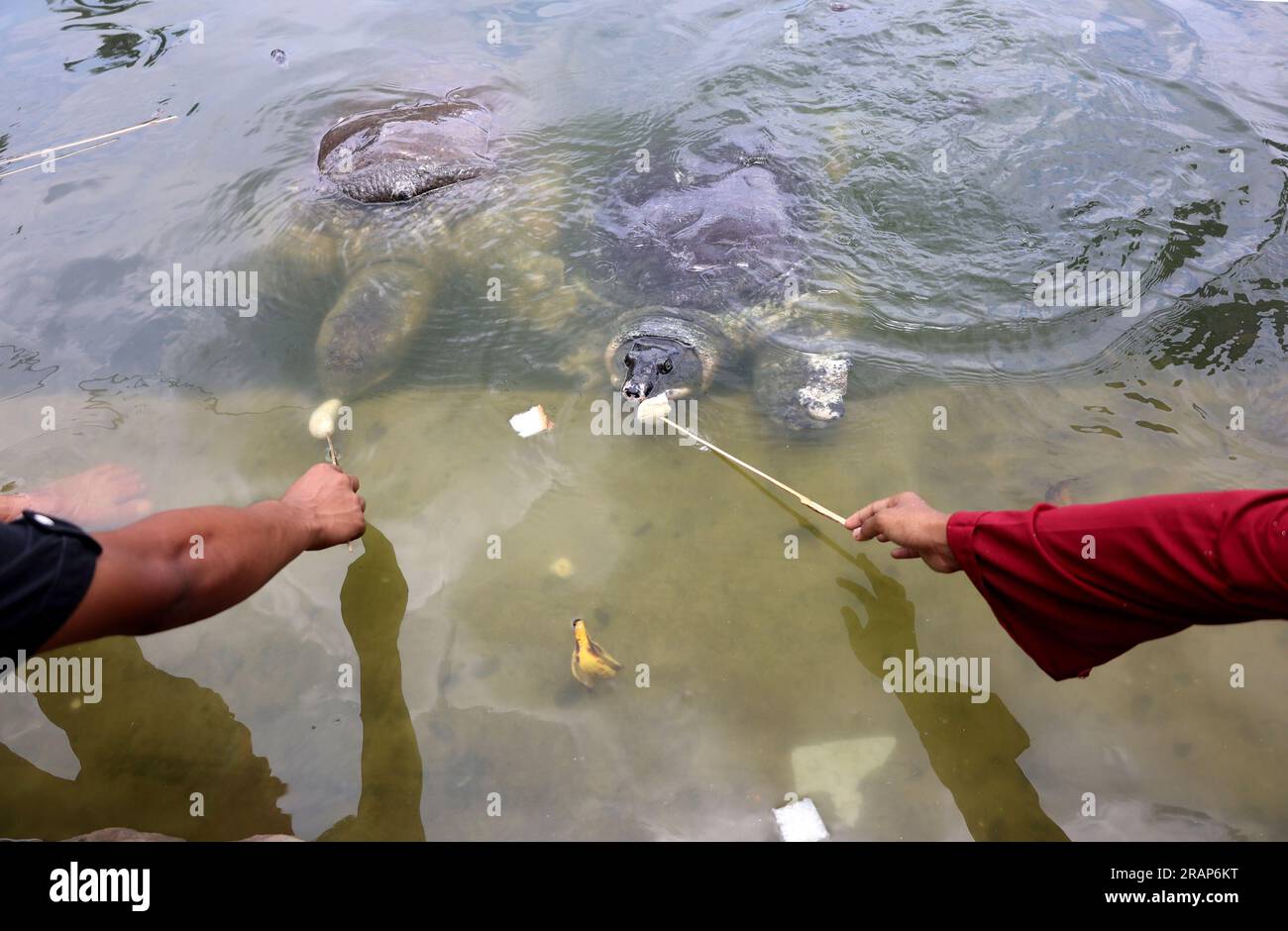 Chittagong, Bayazid, Bangladesh. 5th July, 2023. July 05, 2023 ...