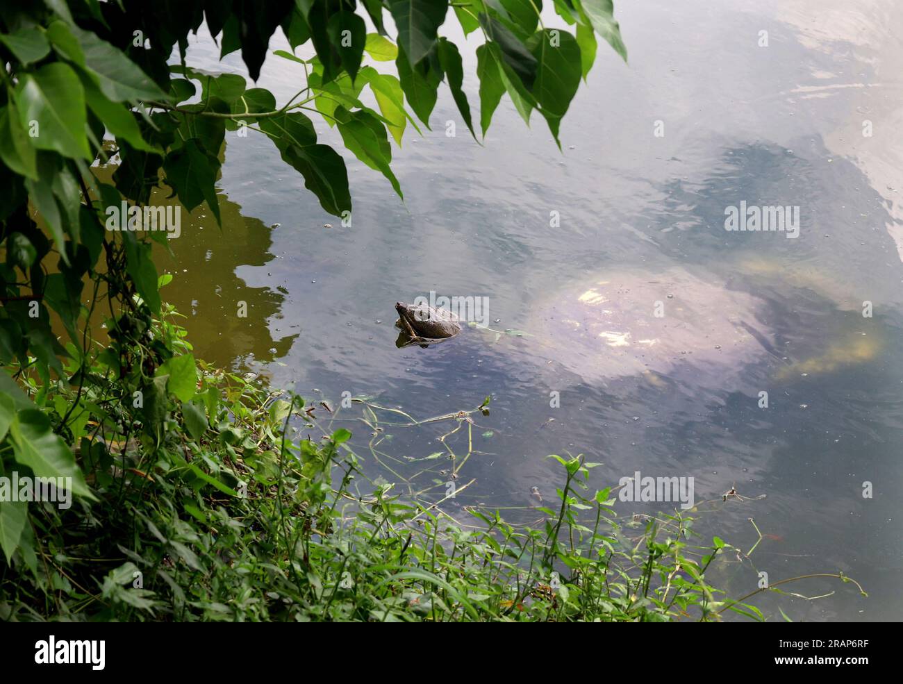 Chittagong, Bayazid, Bangladesh. 5th July, 2023. July 05, 2023 ...