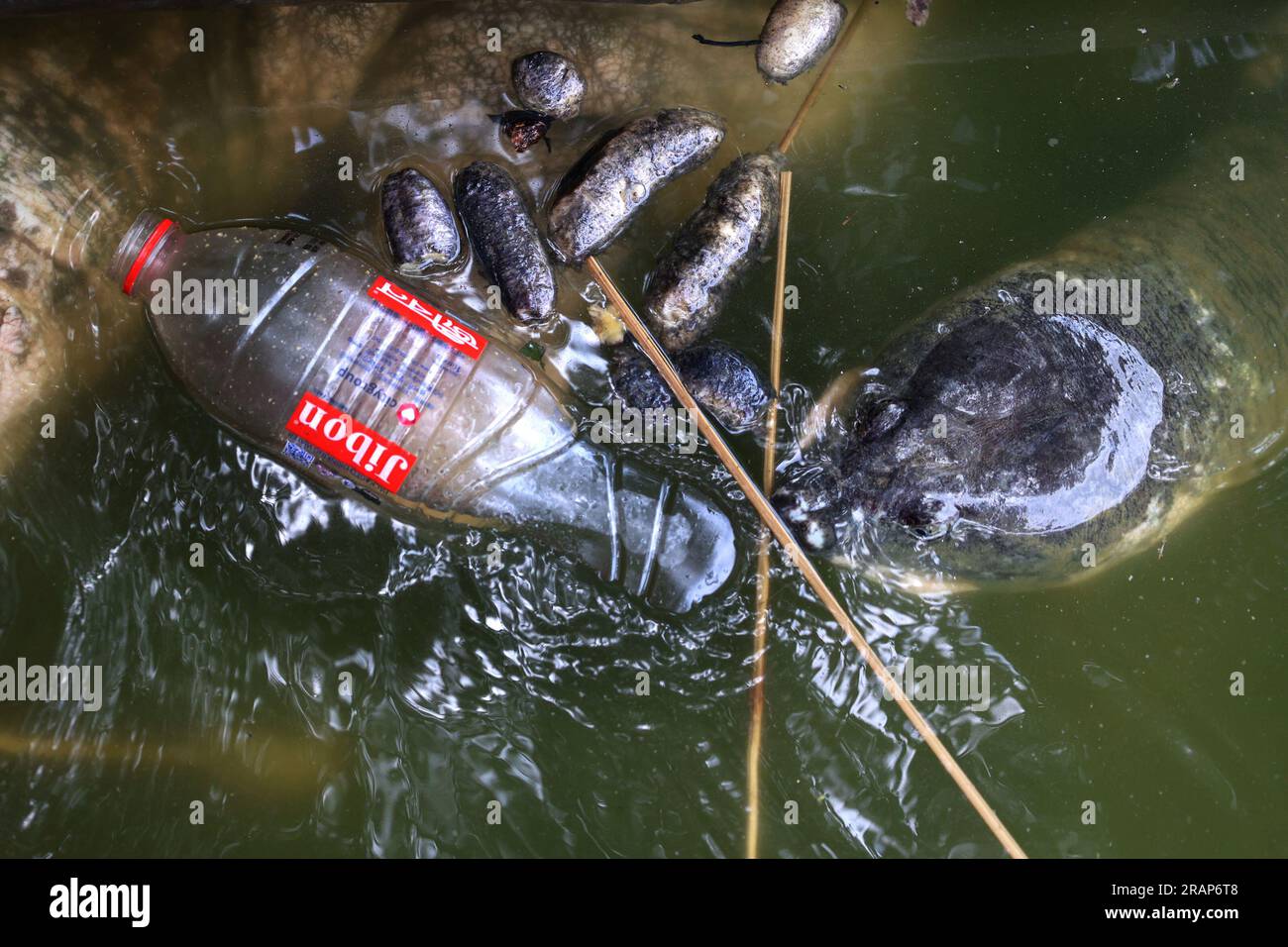 Chittagong, Bayazid, Bangladesh. 5th July, 2023. July 05, 2023 ...