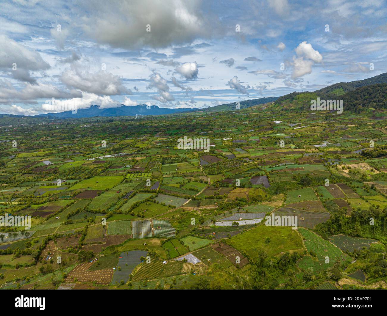 Top view of mountain landscape with green hills and farmland. Kayu Aro ...
