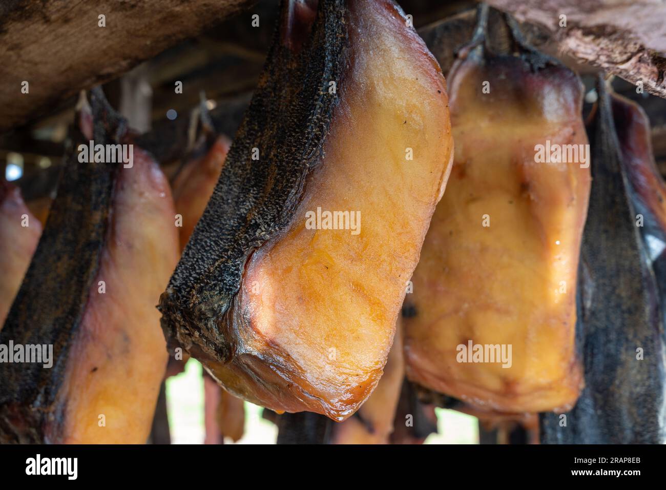Fermented shark (Hakarl) hanging to dry in Iceland Stock Photo - Alamy