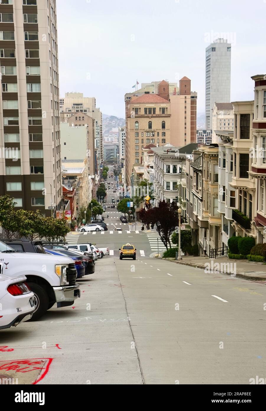 View downhill of typical street with parked cars Pine Street San ...
