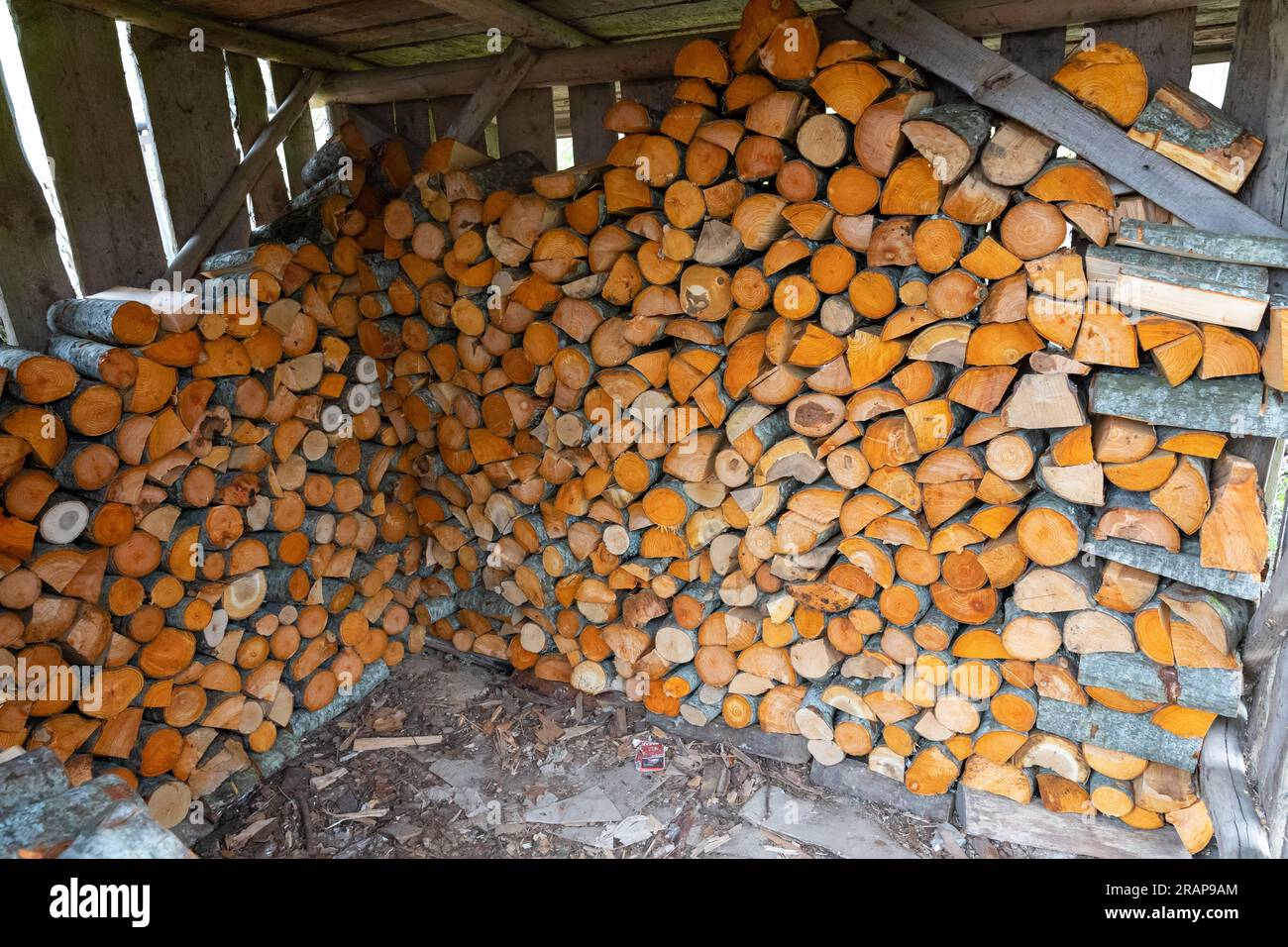 Stacked rows of split adler firewood in shed Stock Photo - Alamy
