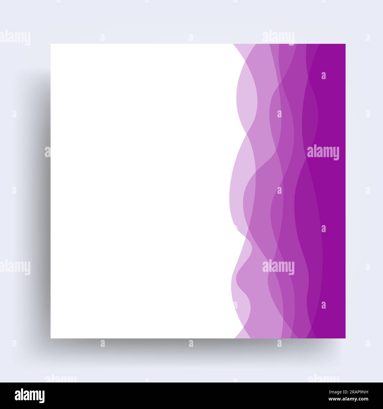 purple wave banner design with shadow Stock Vector Image & Art - Alamy