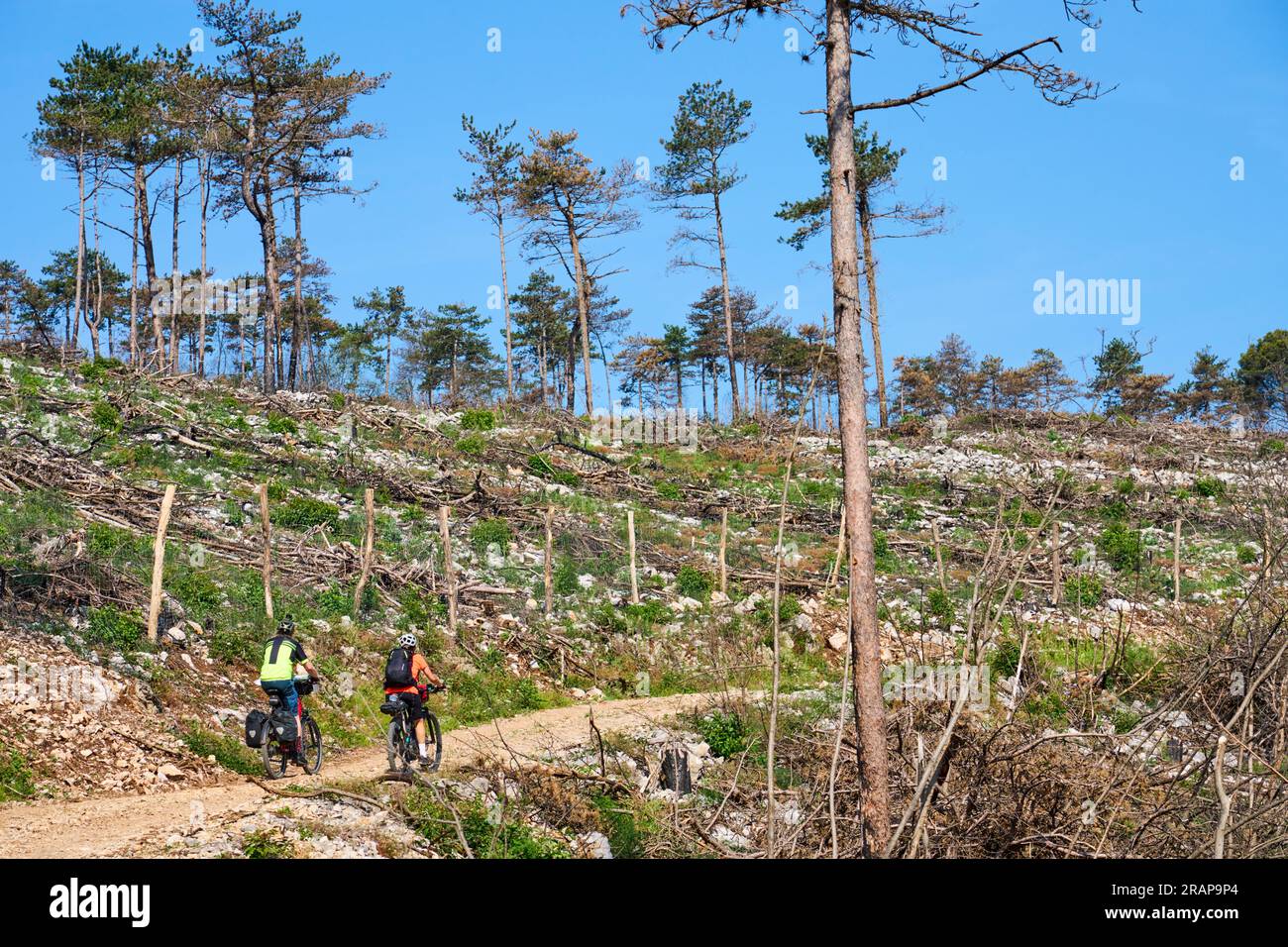Ebike fire hi-res stock photography and images - Alamy