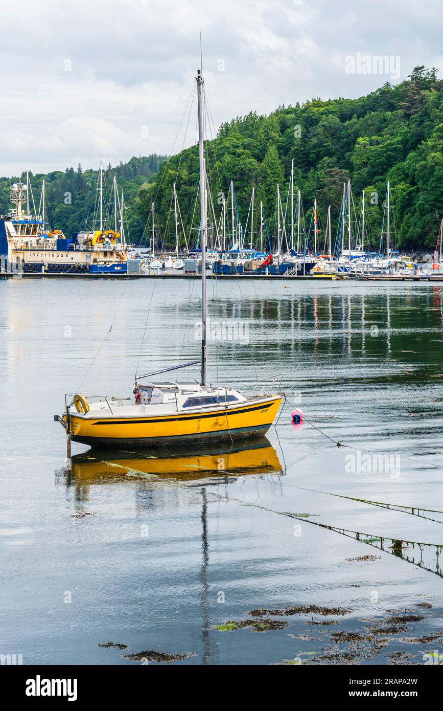 Boats in Tobermory, Isle of Mull, Scotland, UK Stock Photo - Alamy