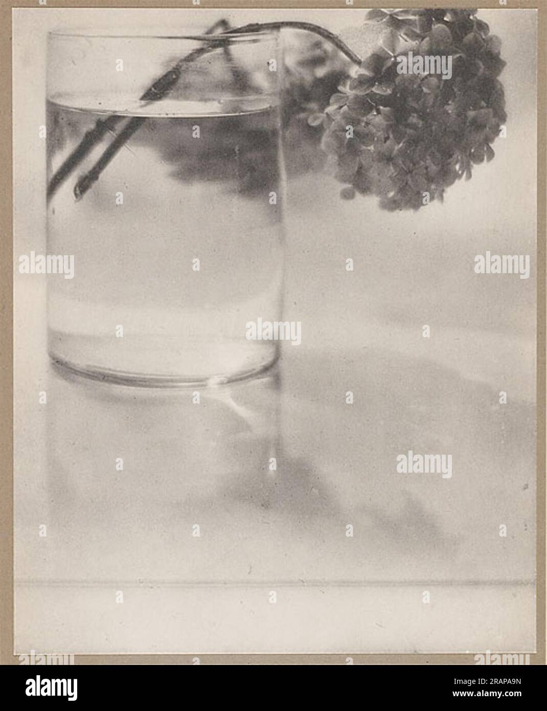 Meyer adolph de hi-res stock photography and images - Alamy