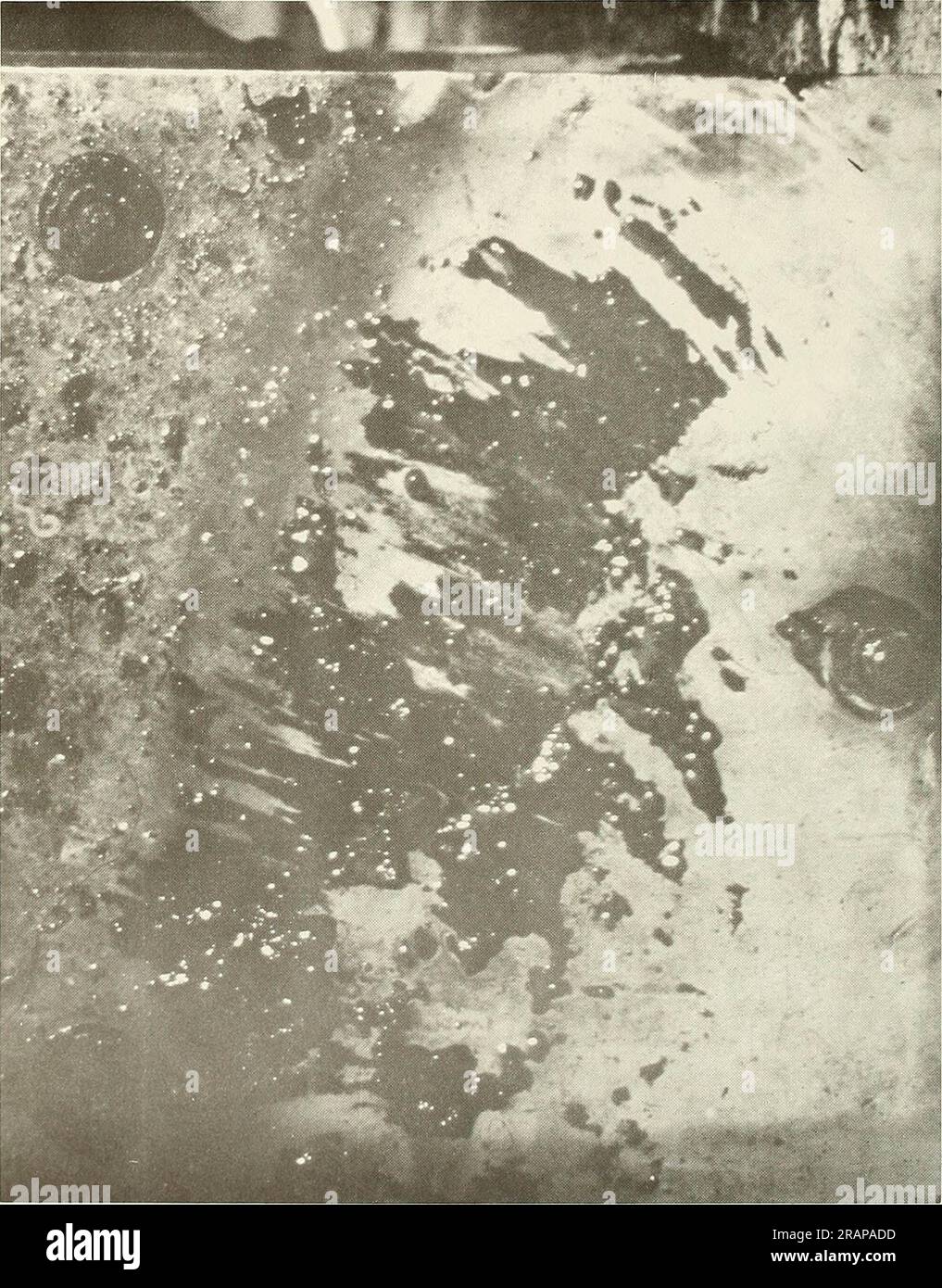 "Effect of bottom sediment containing hydrogen sulfide on materials ...