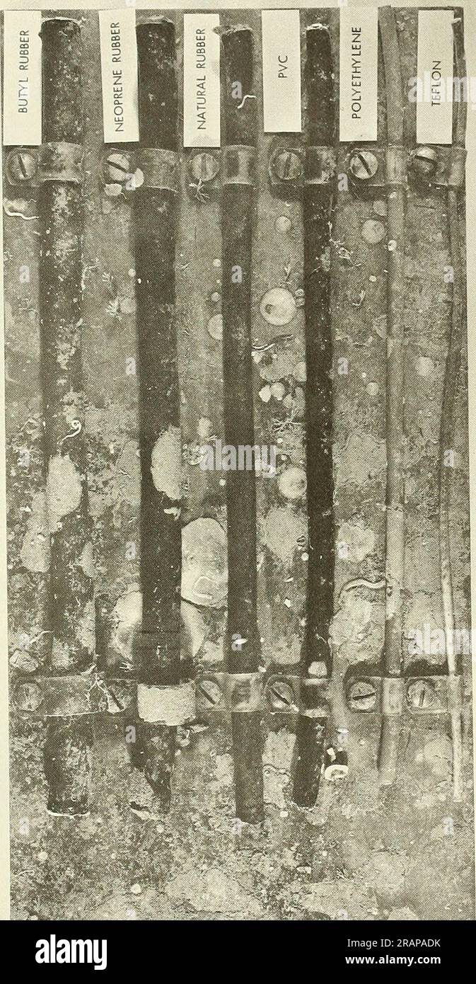 "Effect of bottom sediment containing hydrogen sulfide on materials ...