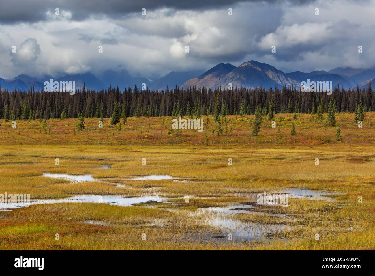 Tundra landscapes above Arctic circle in autumn season. Beautiful ...