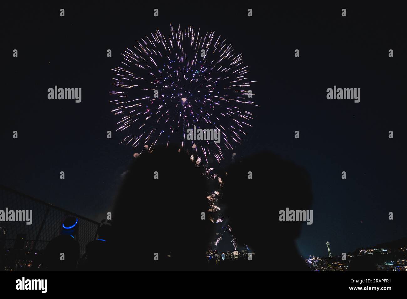 The night sky above Lake Union in Seattle was illuminated by a ...