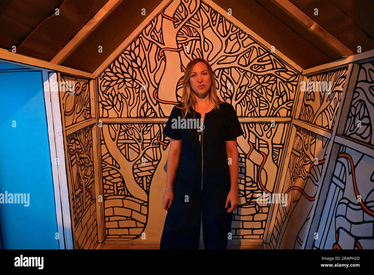 Key features of the installation include Peel’s trademark murals ...