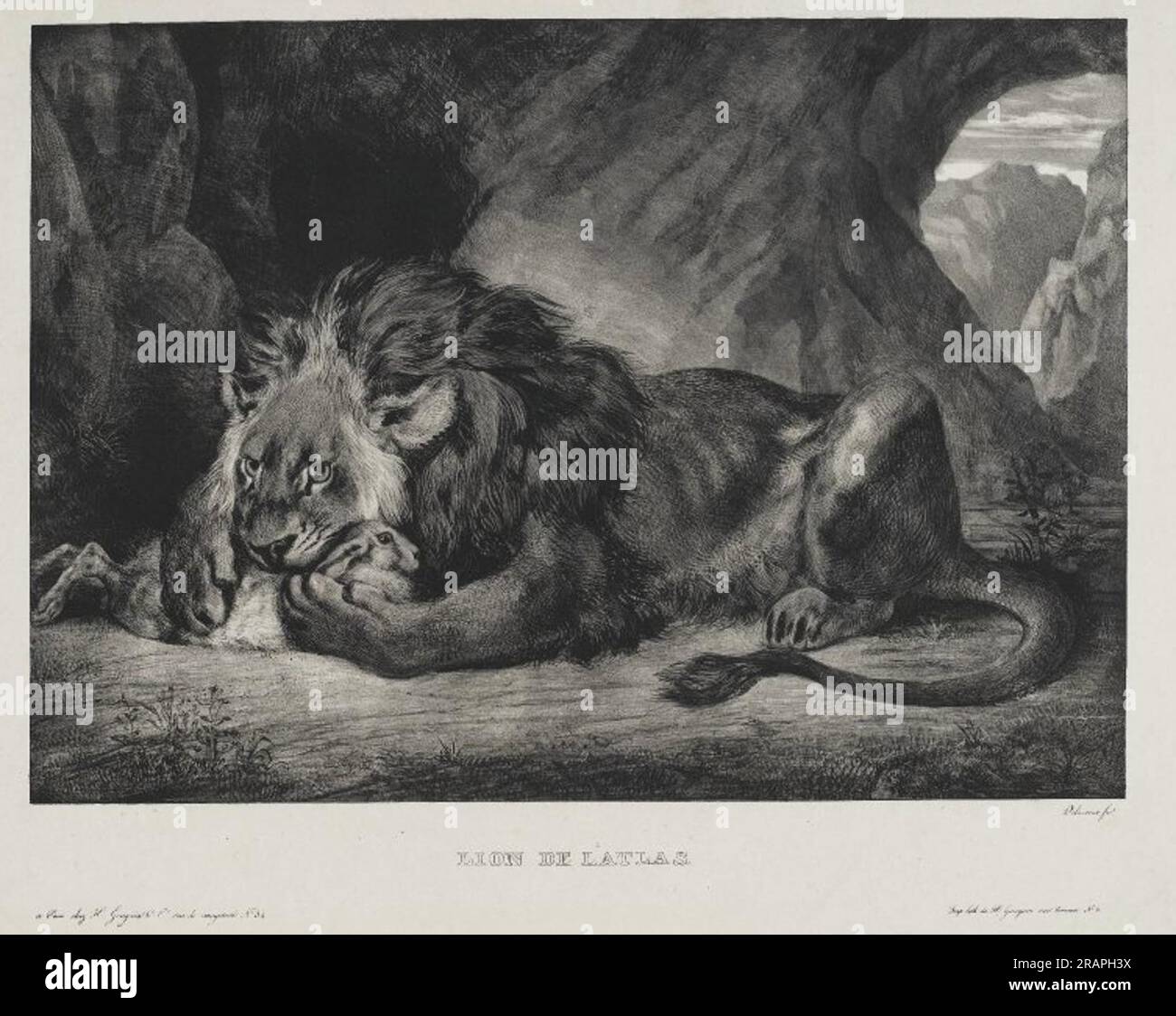 Lion of the Atlas 1829 by Eugene Delacroix Stock Photo - Alamy