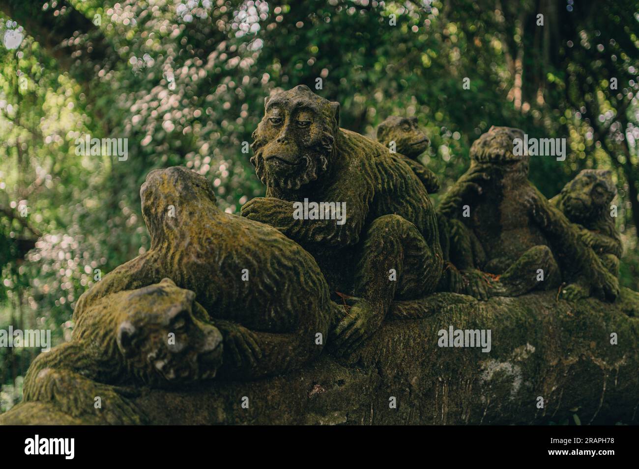 Stone monkeys statues in sacred monkey forest. Old decorative monkey ...