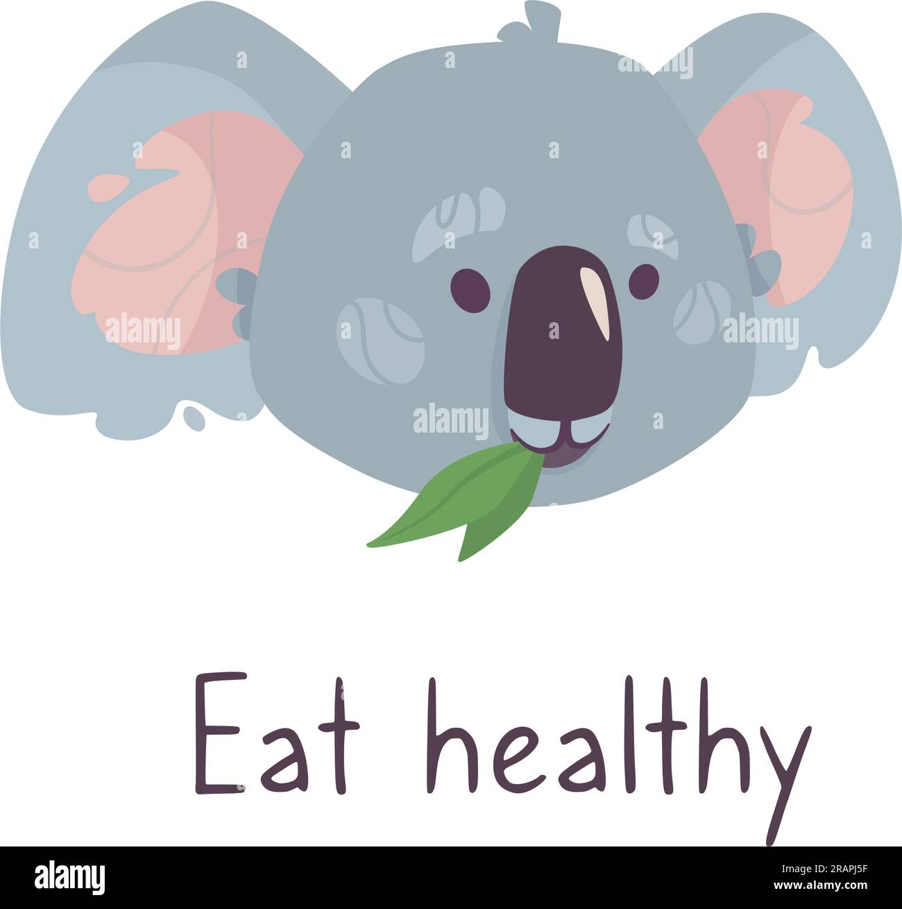 gray koala chews foliage and the inscription Healthy nutrition. Funny ...