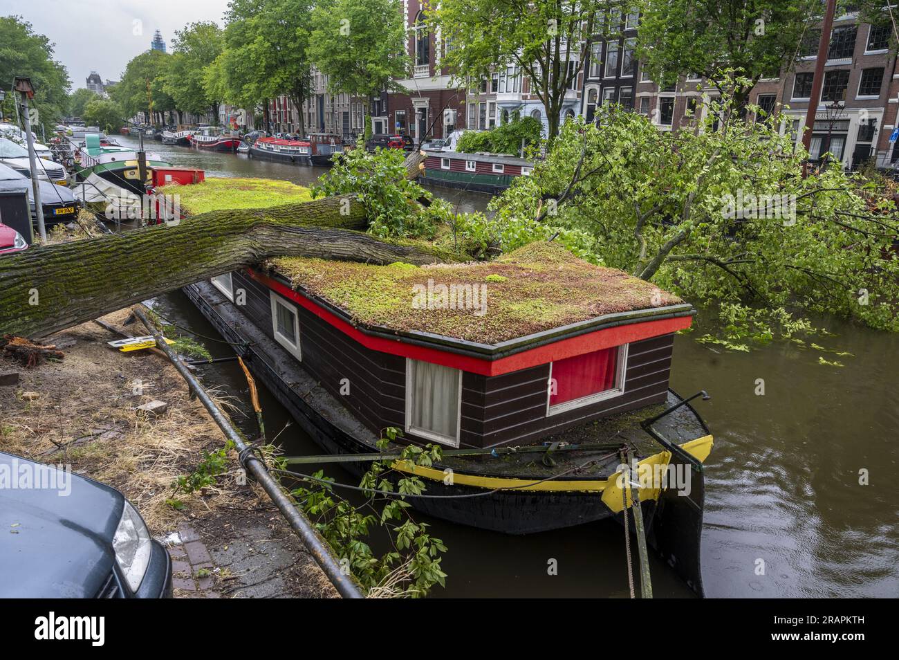 AMSTERDAM - Storm damage trees on the Keizersgracht in the center of ...