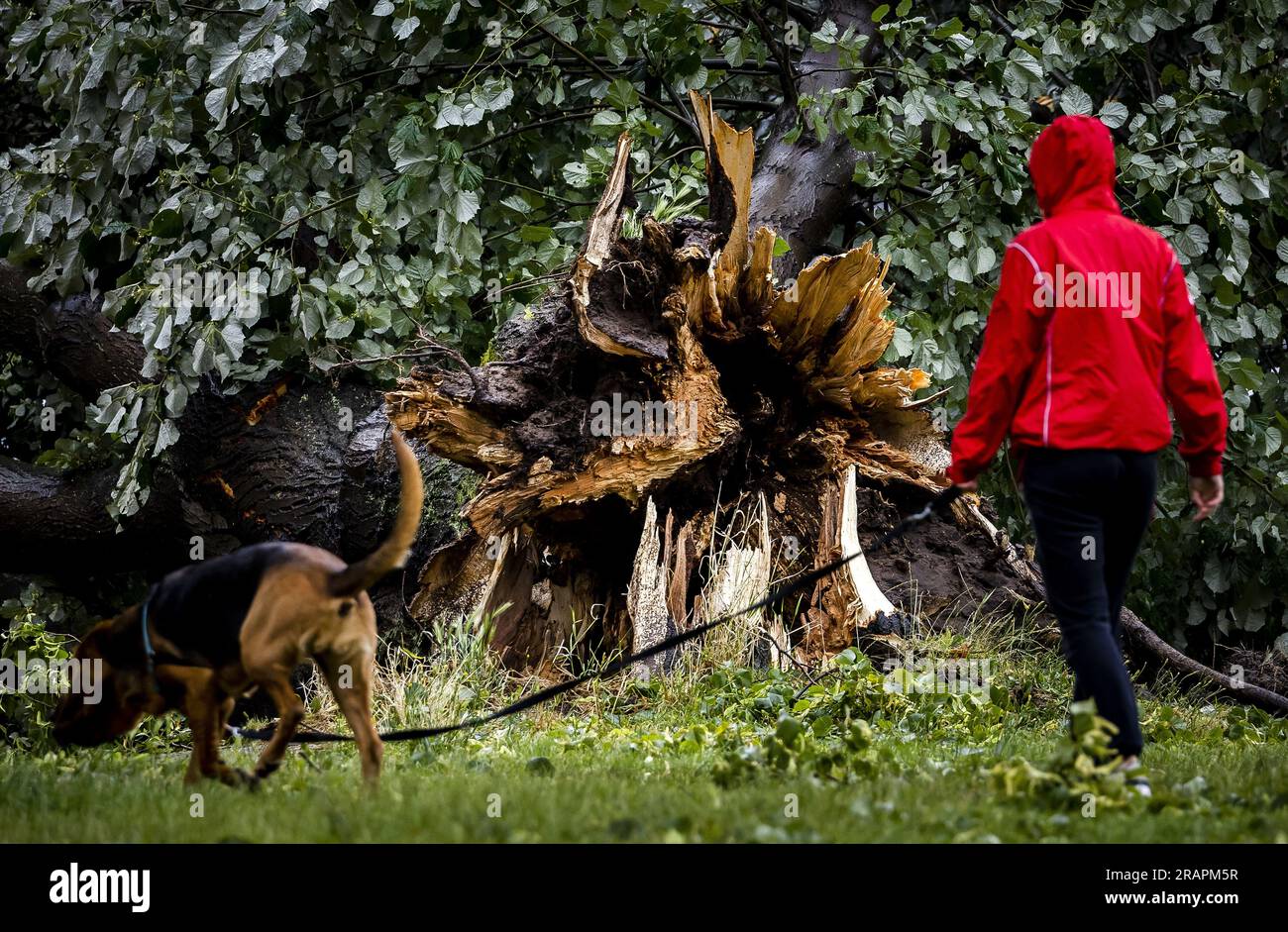 Severe weather poly hi-res stock photography and images - Alamy