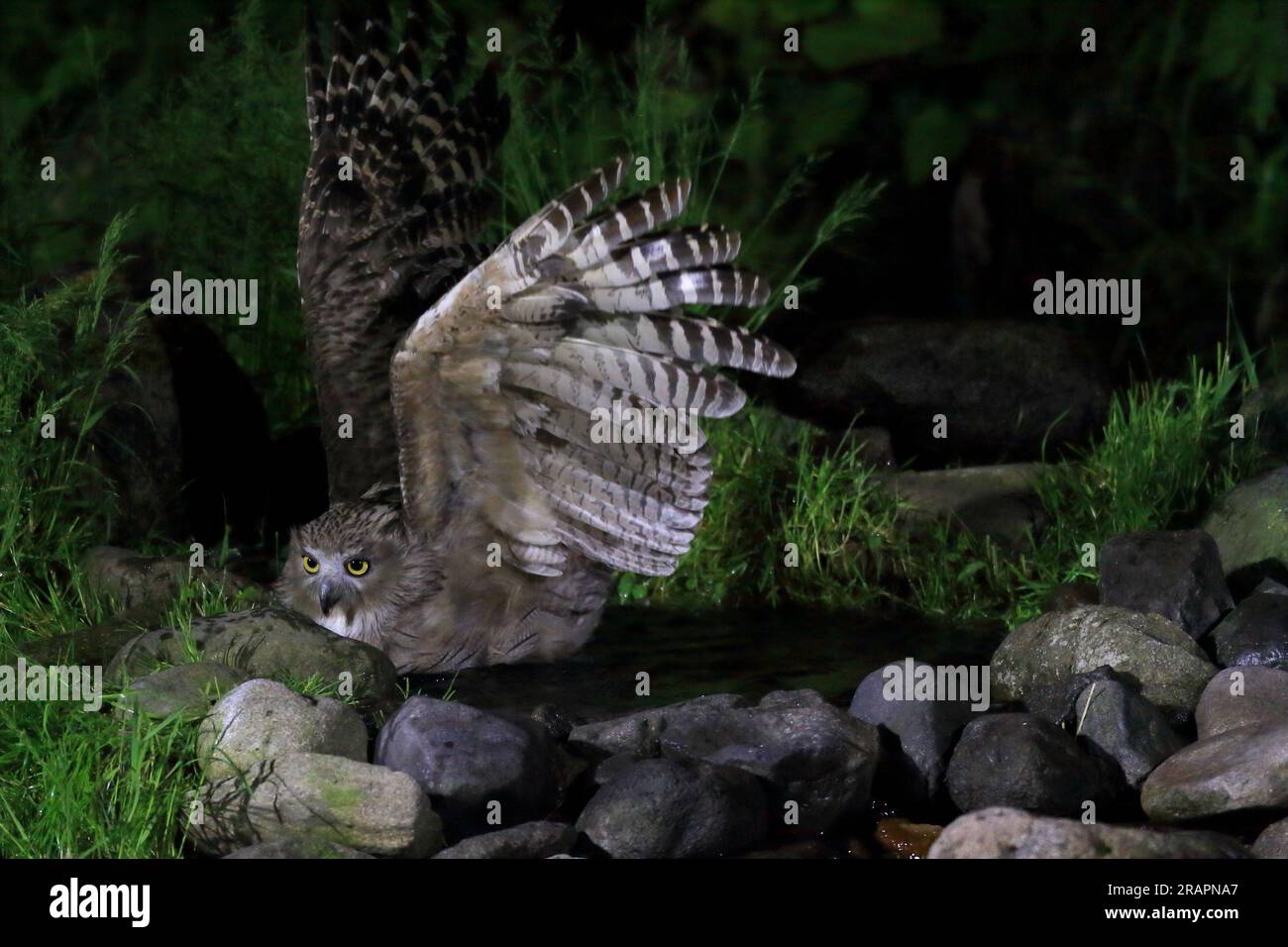 Siretoko hi-res stock photography and images - Alamy