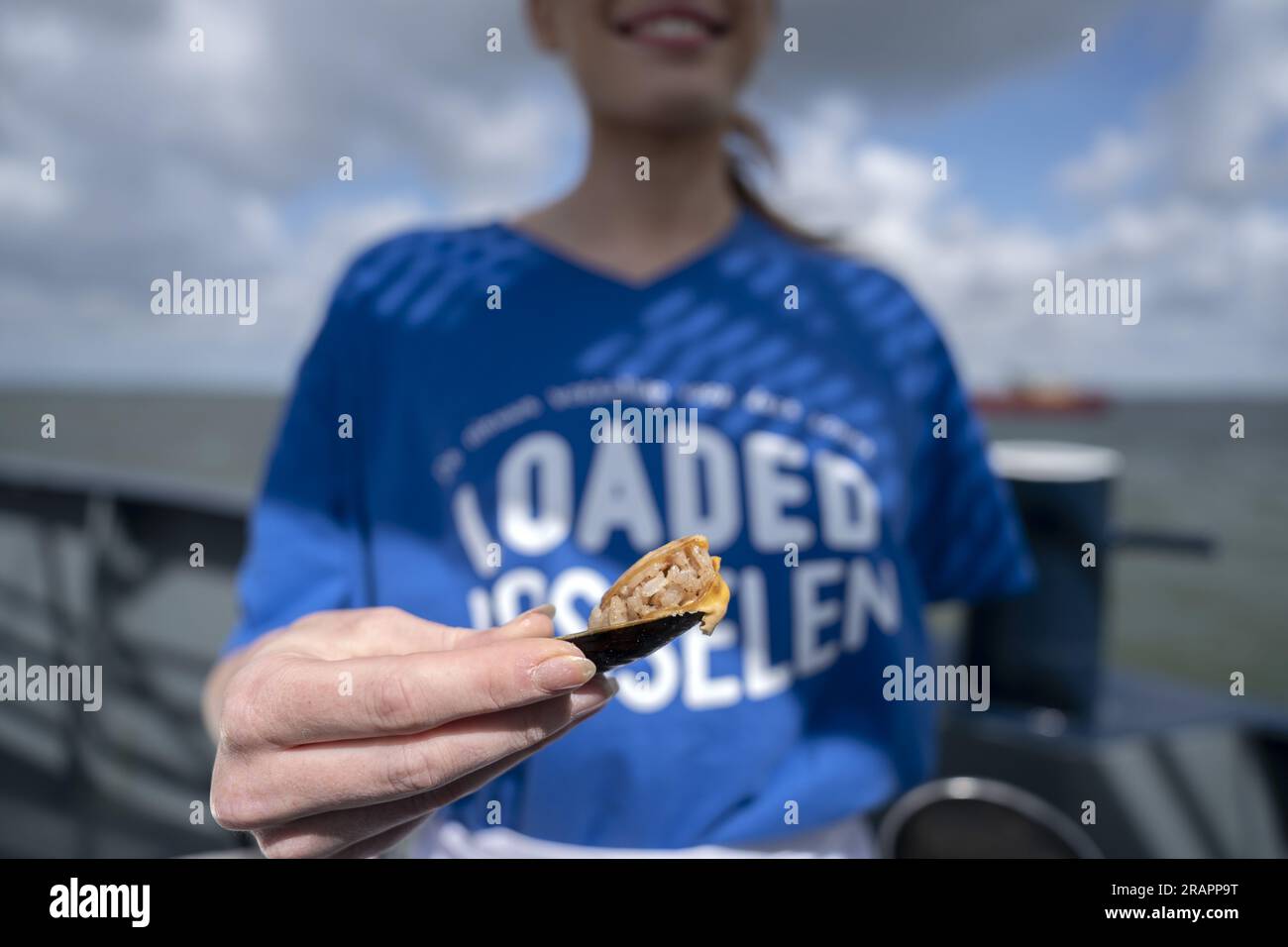 YERSEKE - Launch of the loaded mussel, a mussel filled with seasoned ...