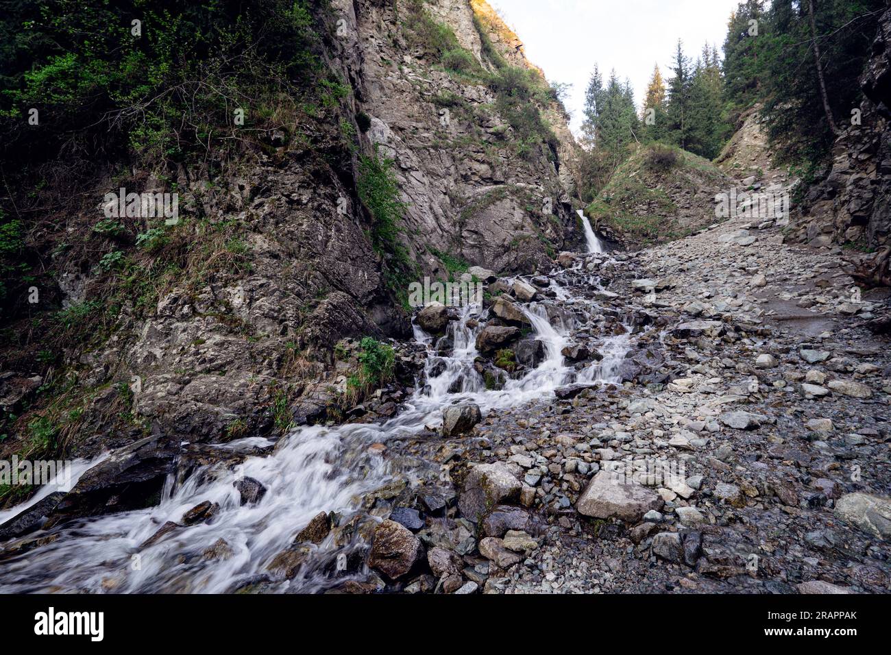 View of the mountain river with a strong current and rifts. The river ...