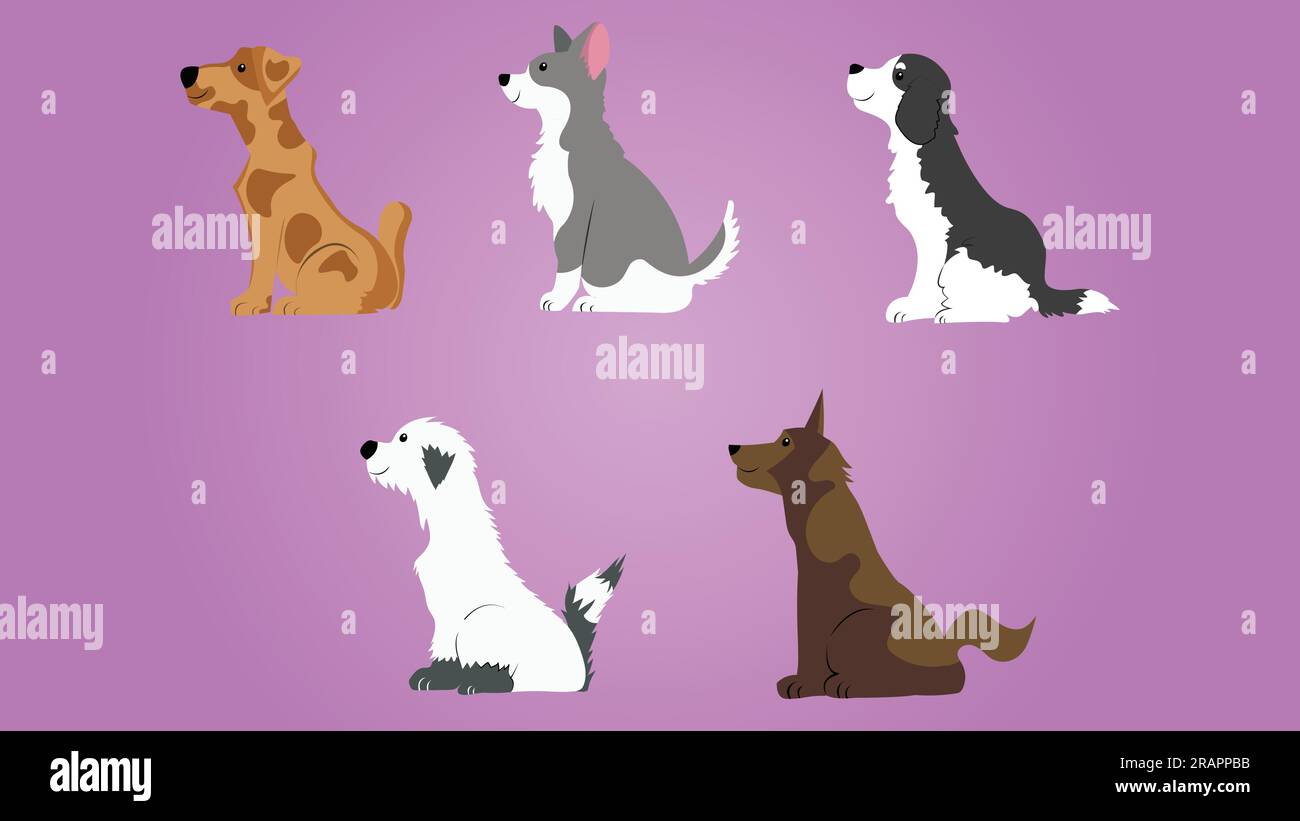sheet of different cute dogs Stock Vector Image & Art - Alamy