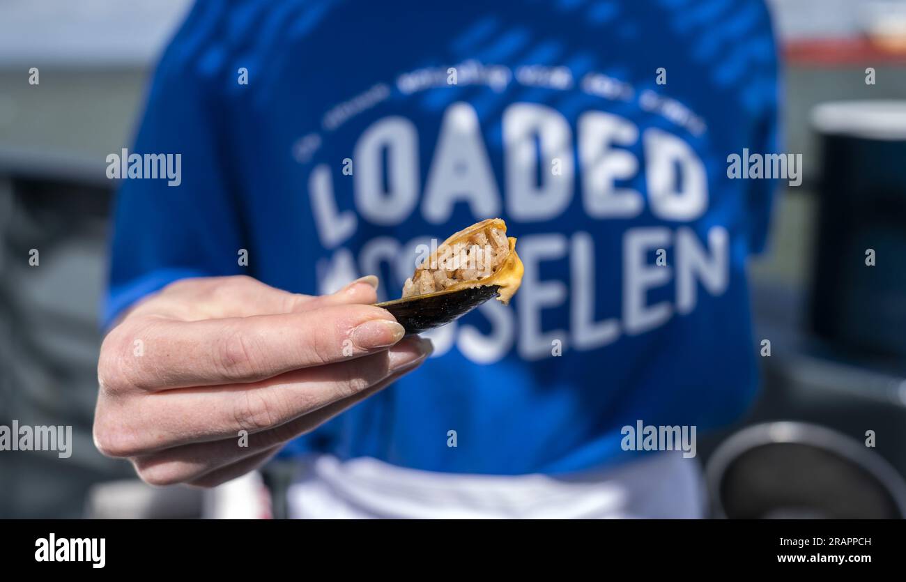 YERSEKE - Launch of the loaded mussel, a mussel filled with seasoned ...