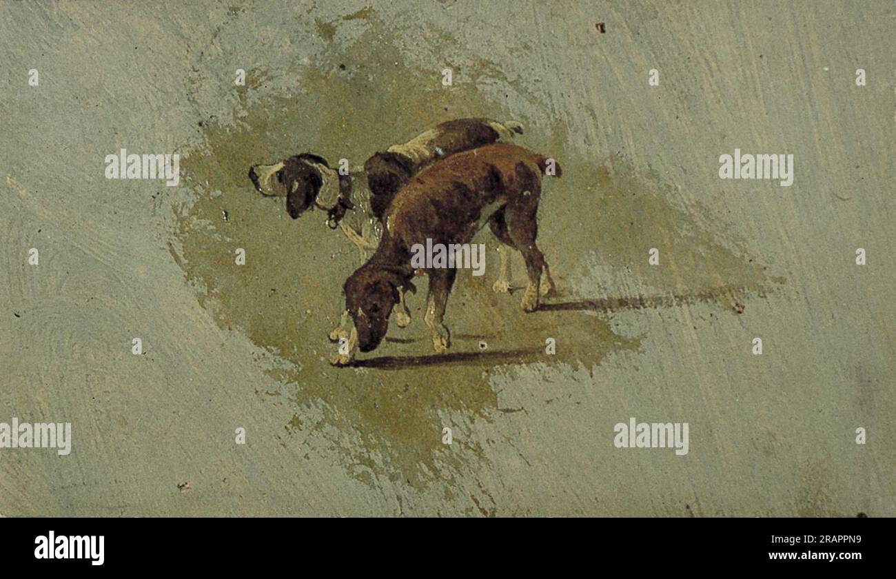 Two dogs 1899 by Theo van Doesburg Stock Photo - Alamy