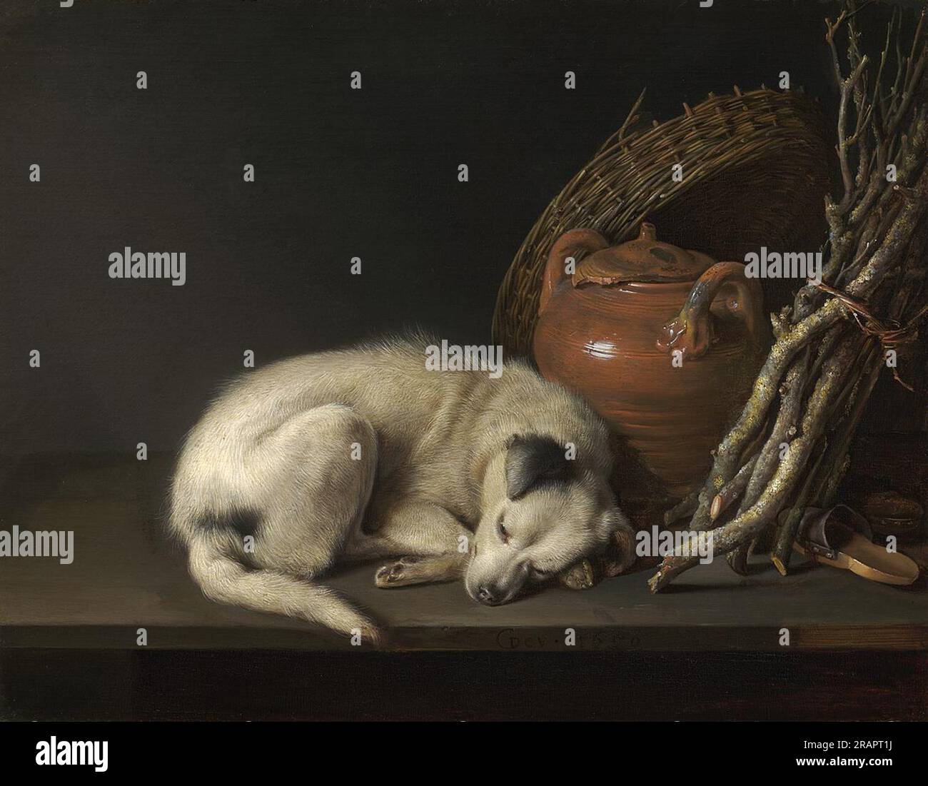 Gerrit dou dog hi-res stock photography and images - Alamy